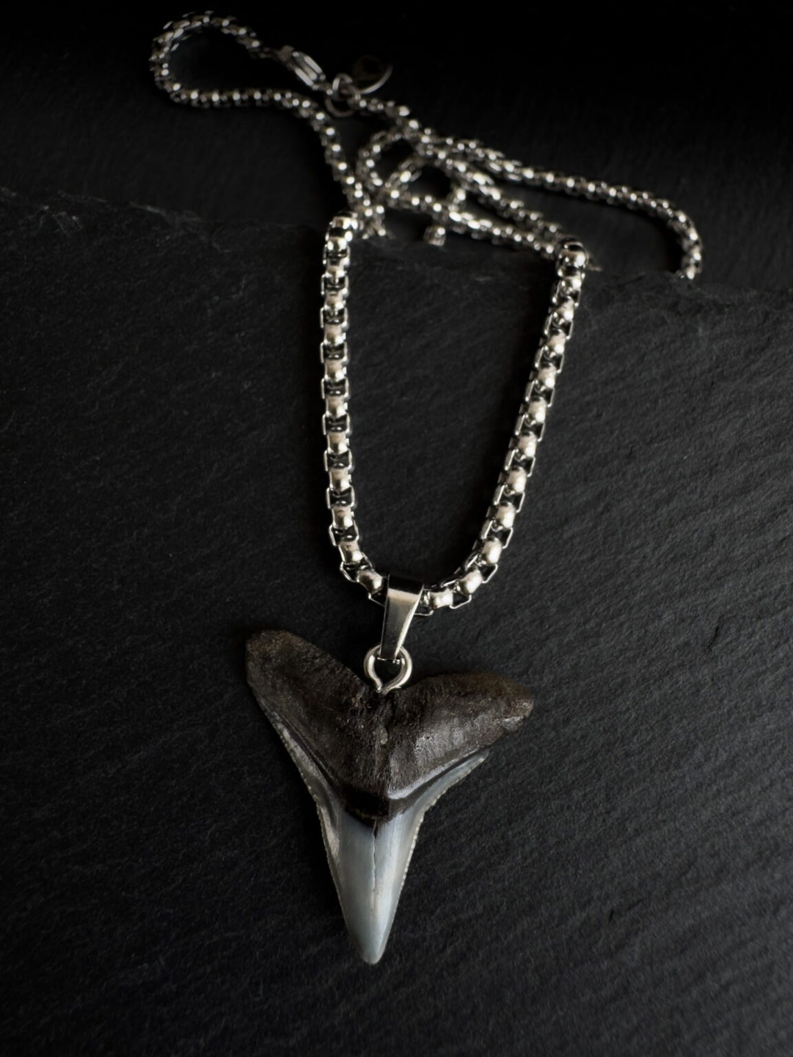 Men Fossil Bull Shark Tooth Necklace – IDENTITY