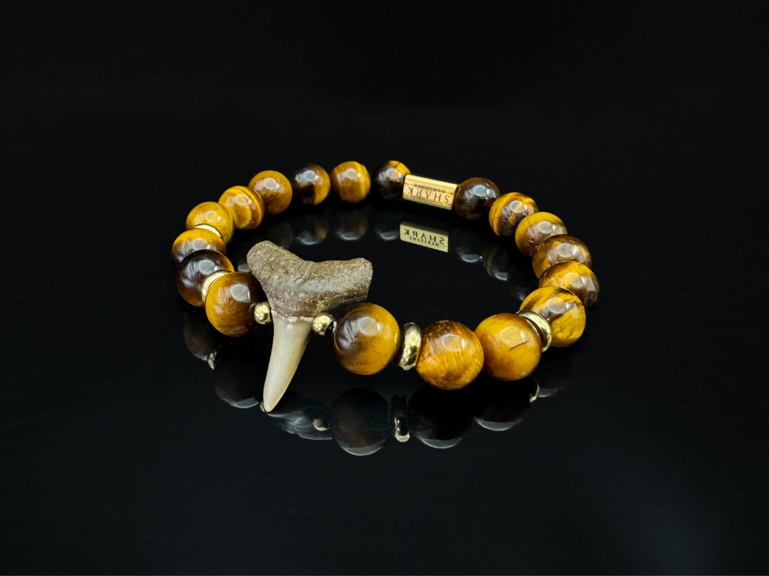 Tiger’s Eye Fossil Shark Tooth Bracelet – 18k Gold – COURAGE