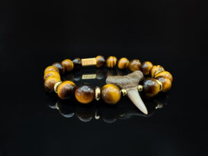 Tiger’s Eye Fossil Shark Tooth Bracelet – 18k Gold – COURAGE